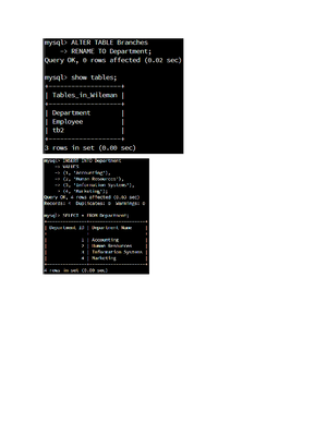 DAD 220 Module Two Activity - How many records are shown in the ...