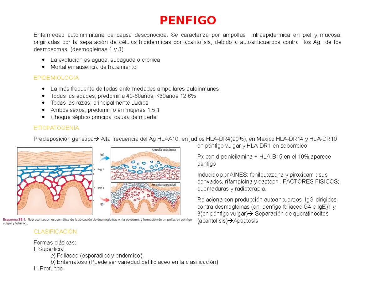 Penfigo- Penfigoide - Arenas. Sul. Dermatologia - Dermatología ...
