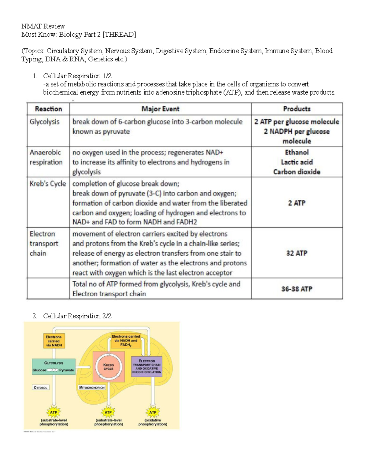 Biology Part 2 - (Topics: Circulatory System, Nervous System, Digestive ...