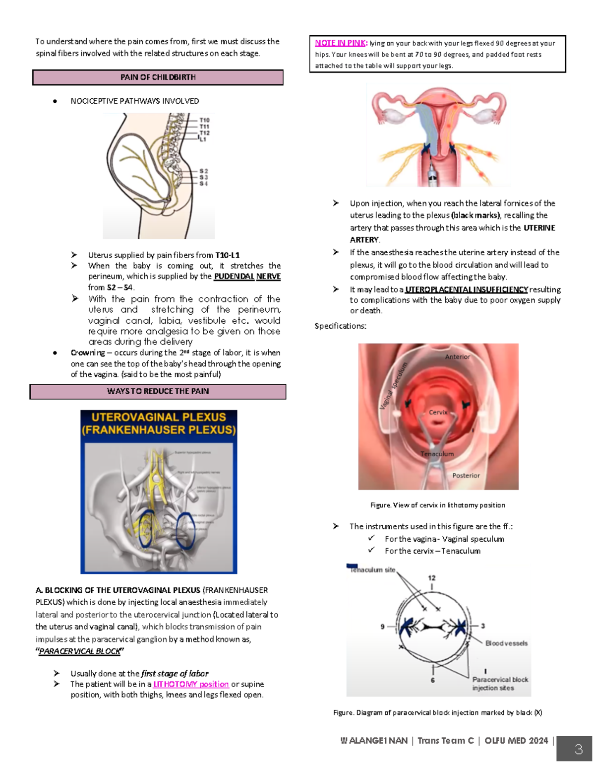 Childbirth Anatomy - Lecture notes 3 - WALANGE1NAN | Trans Team C ...
