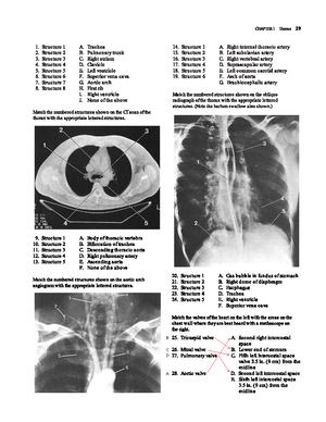 Skin-Concept map HW - naa - Page 1 of 1 A CONCEPT MAP & PRACTICE OF THE ...