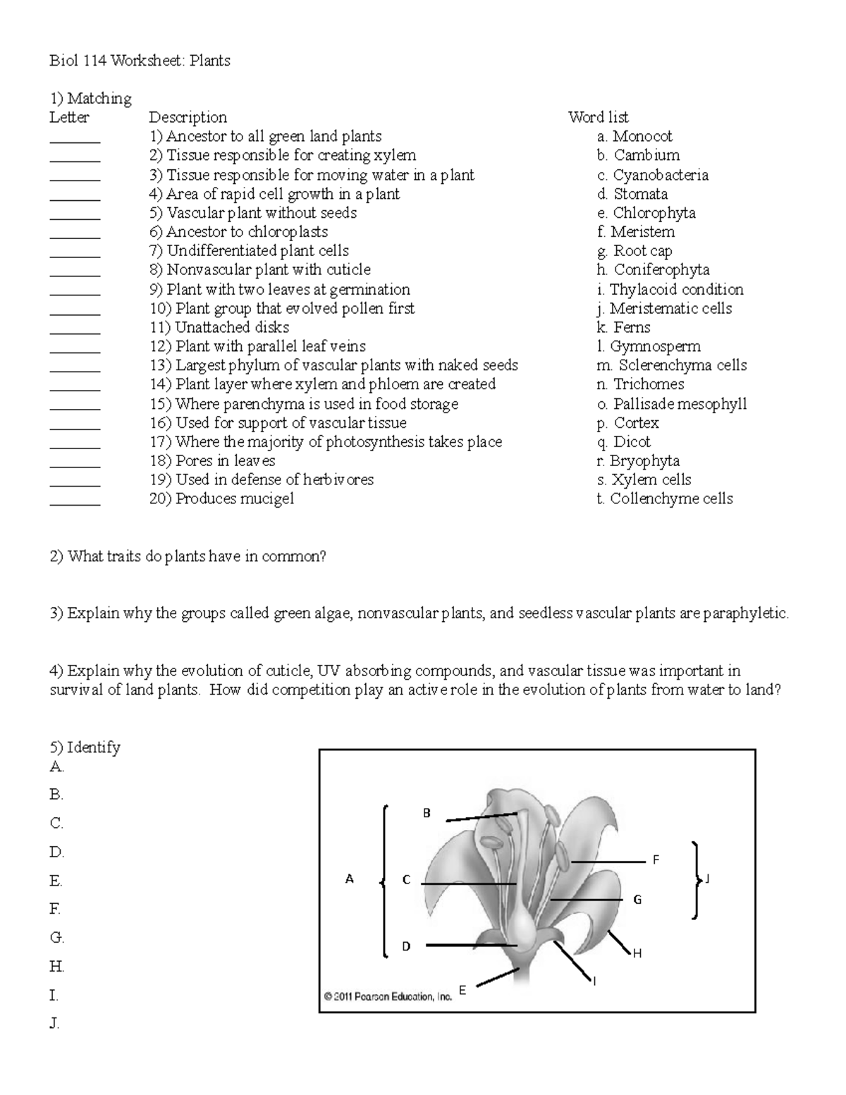 lecture problems - Plant evolution and diversity - Biol 114 Worksheet ...