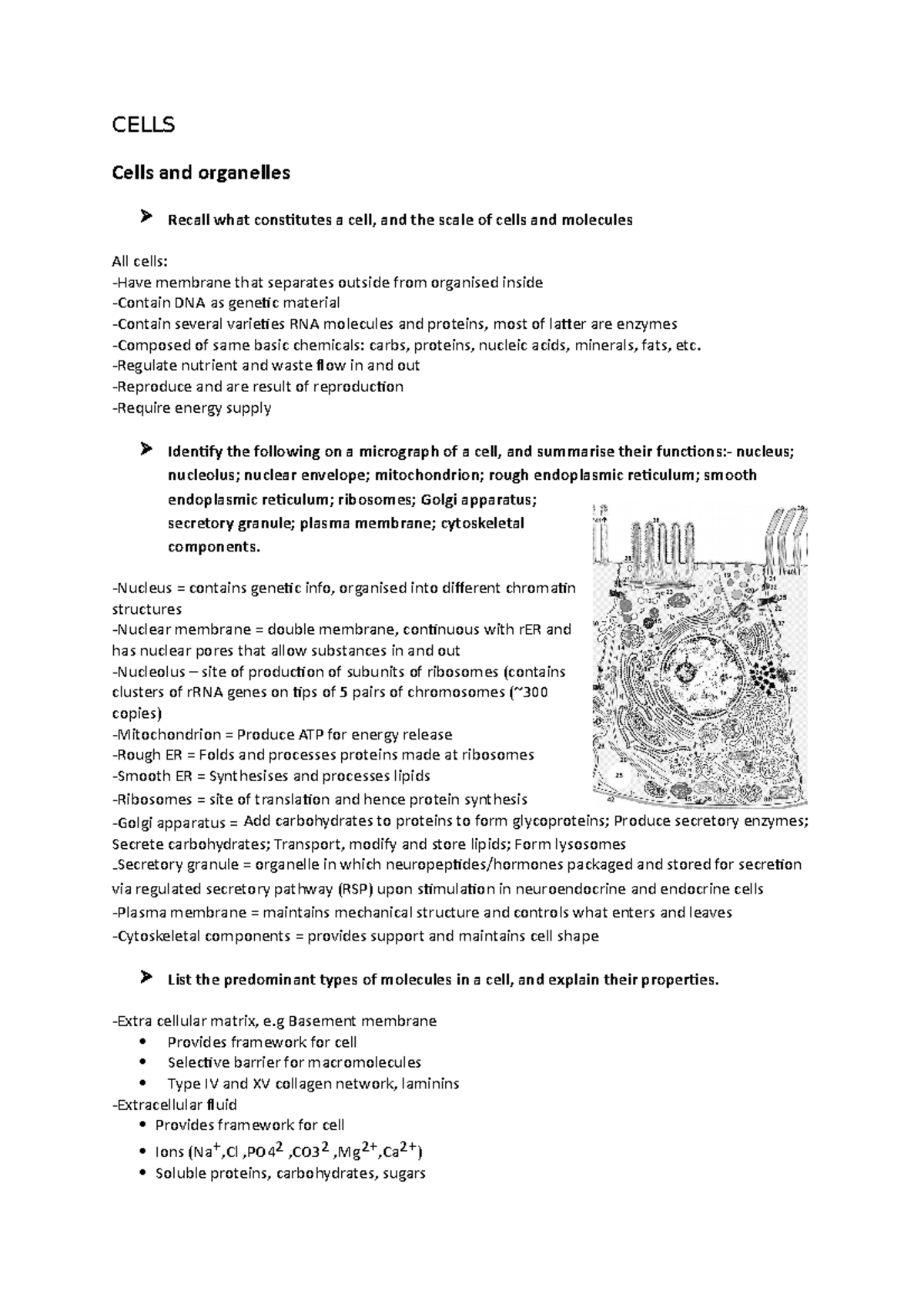 Year 1 - Cells summary - CELLS Cells and organelles Recall what ...