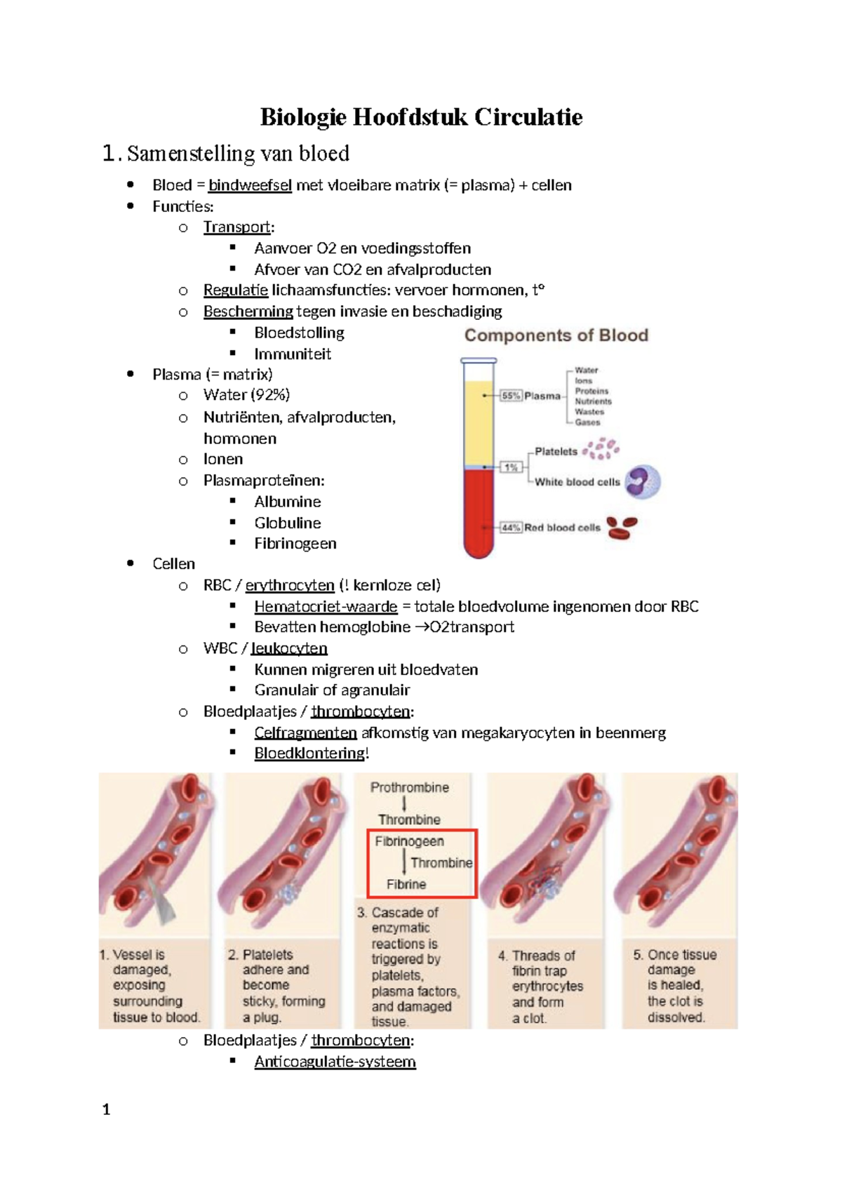 Biologie Hoofdstuk Circulatie - Samenstelling van bloed Bloed ...