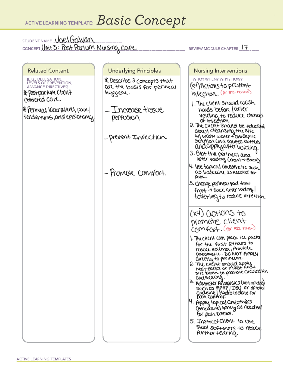 Jgalvan ALT (1:20) - Active learning template Mom Baby - NUR2513 ...