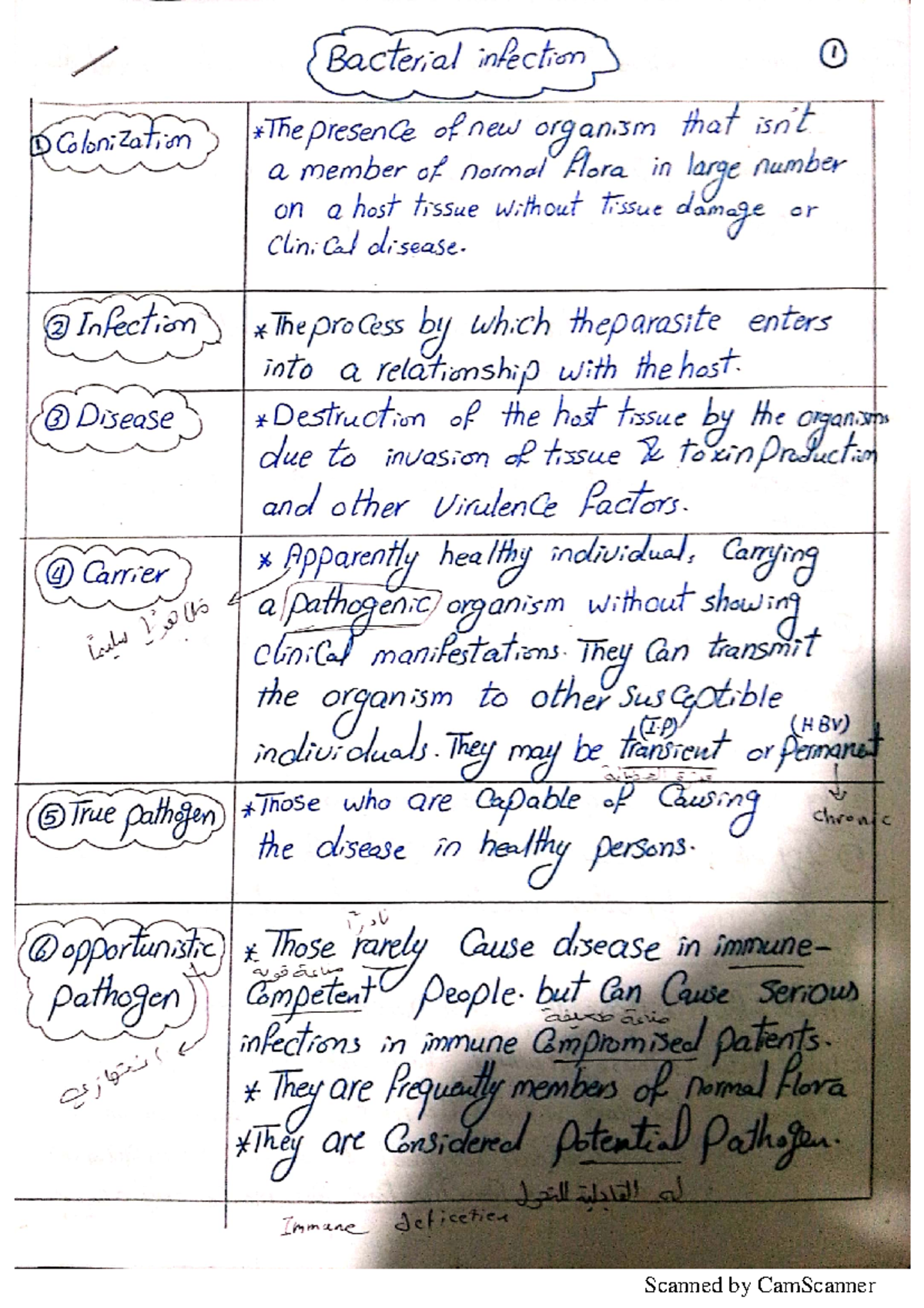 Bacterial infection D - physiology pathology - Studocu
