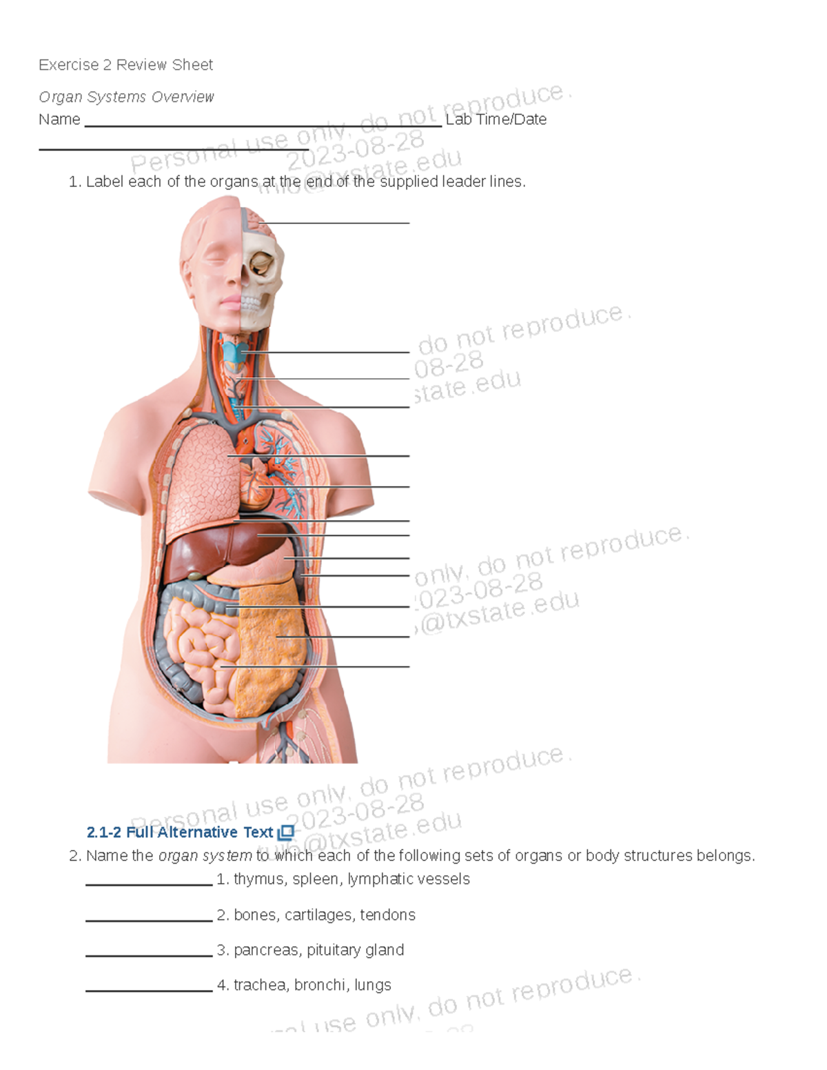 Second part of lab - Thing got sds - Exercise 2 Review Sheet Organ ...