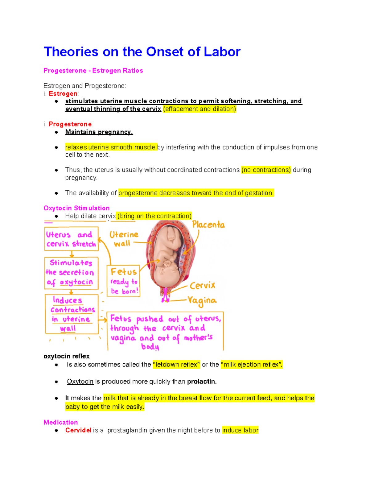 Exam 2 Labor - Notes - Theories on the Onset of Labor Progesterone ...
