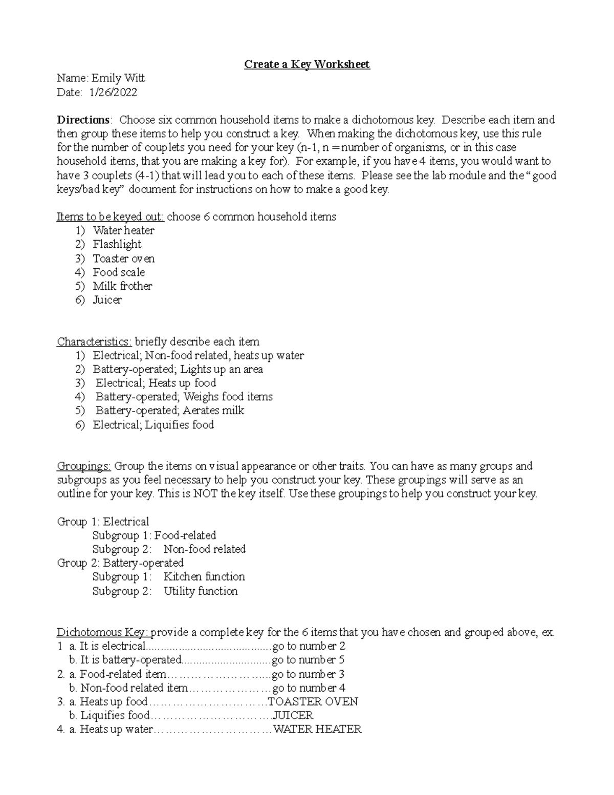 Create Your Own Key Worksheet - Create a Key Worksheet Name: Emily Witt ...