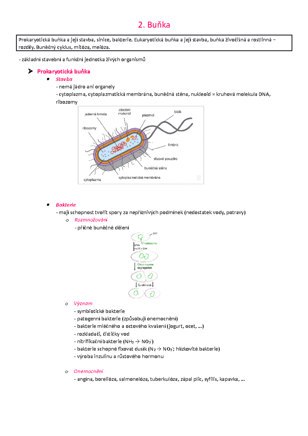 2. Buňka - Maturitní otázka do biologie - 2. Buňka Prokaryotická buňka ...