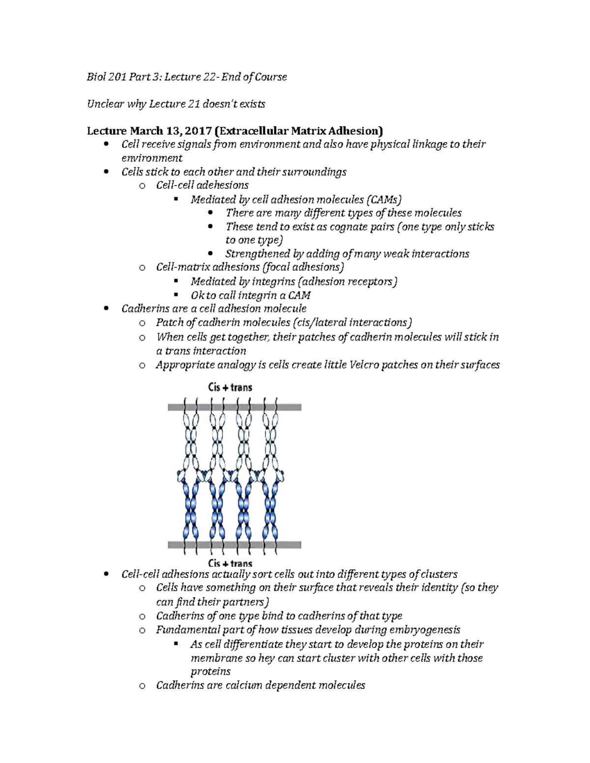 Biol 201 Part 3 through Lecture 23 - Biol 201 Part 3: Lecture 22- End ...