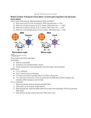 Bio 99 Lecture study guide for midterms - Bio 99 Lecture study guide ...