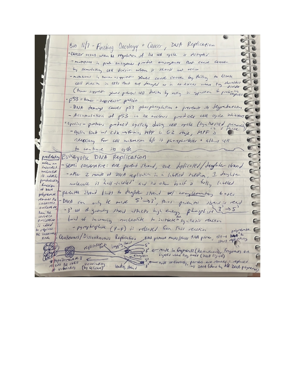 Foundations of Biology Chapter 13 Notes - BIOL 1107 - Studocu