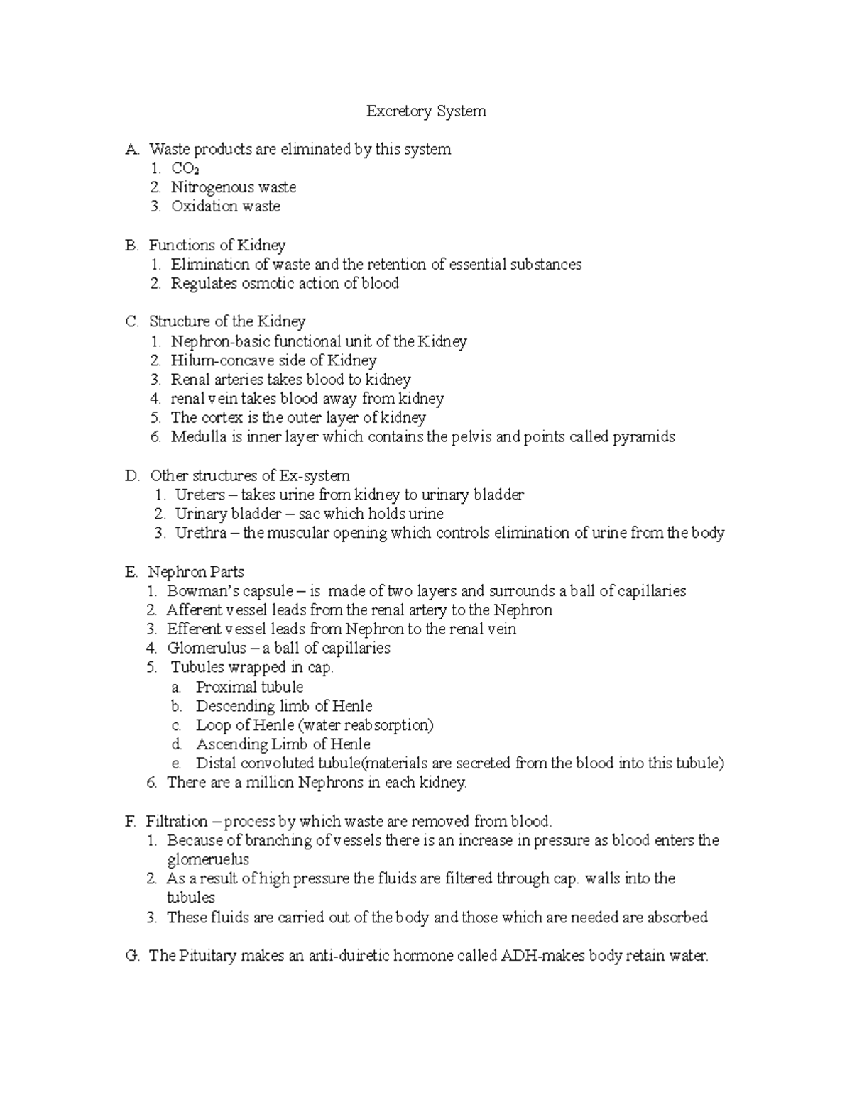 Excretory System - Human Biology Ms. Thomas Lecture Notes - Excretory ...