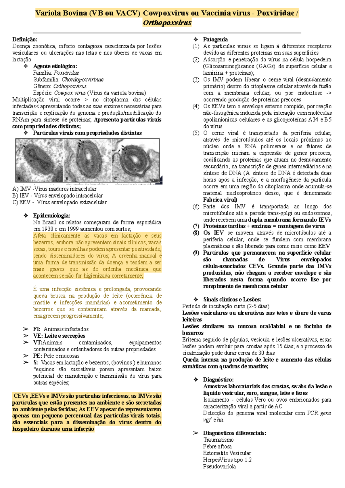 Vírus enfermidades infecciosas - Varíola Bovina (VB ou VACV ...