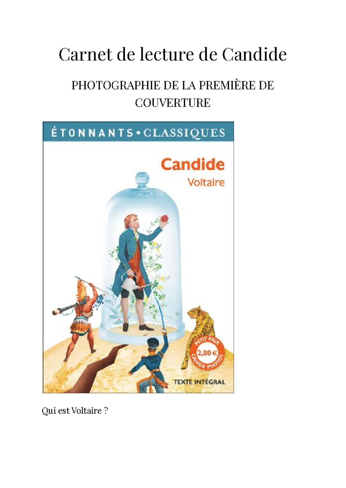 Carnet de lecture de Candide - Carnet de lecture de Candide ...