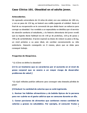 BFT II manual ES - Analizador BFT * II Manual, nº de referencia: 1 000 ...