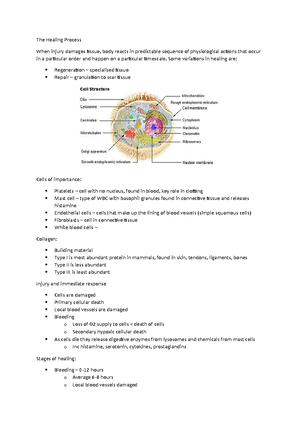 Watson's healing process - Watson’s healing process Tissue healing ...