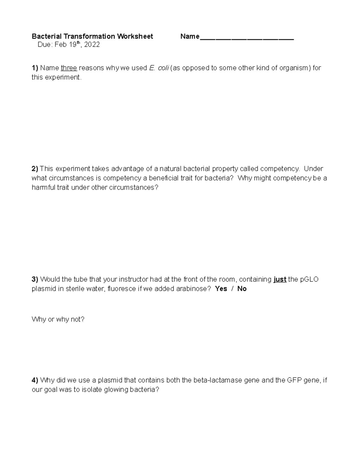 Bacterial Transformation Assignment - Bacterial Transformation ...