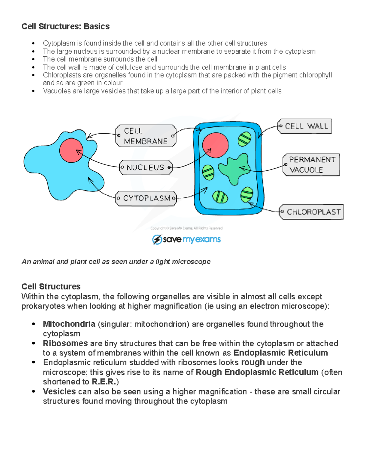 Cell Structures - Just sum notes - Cell Structures: Basics Cytoplasm is ...
