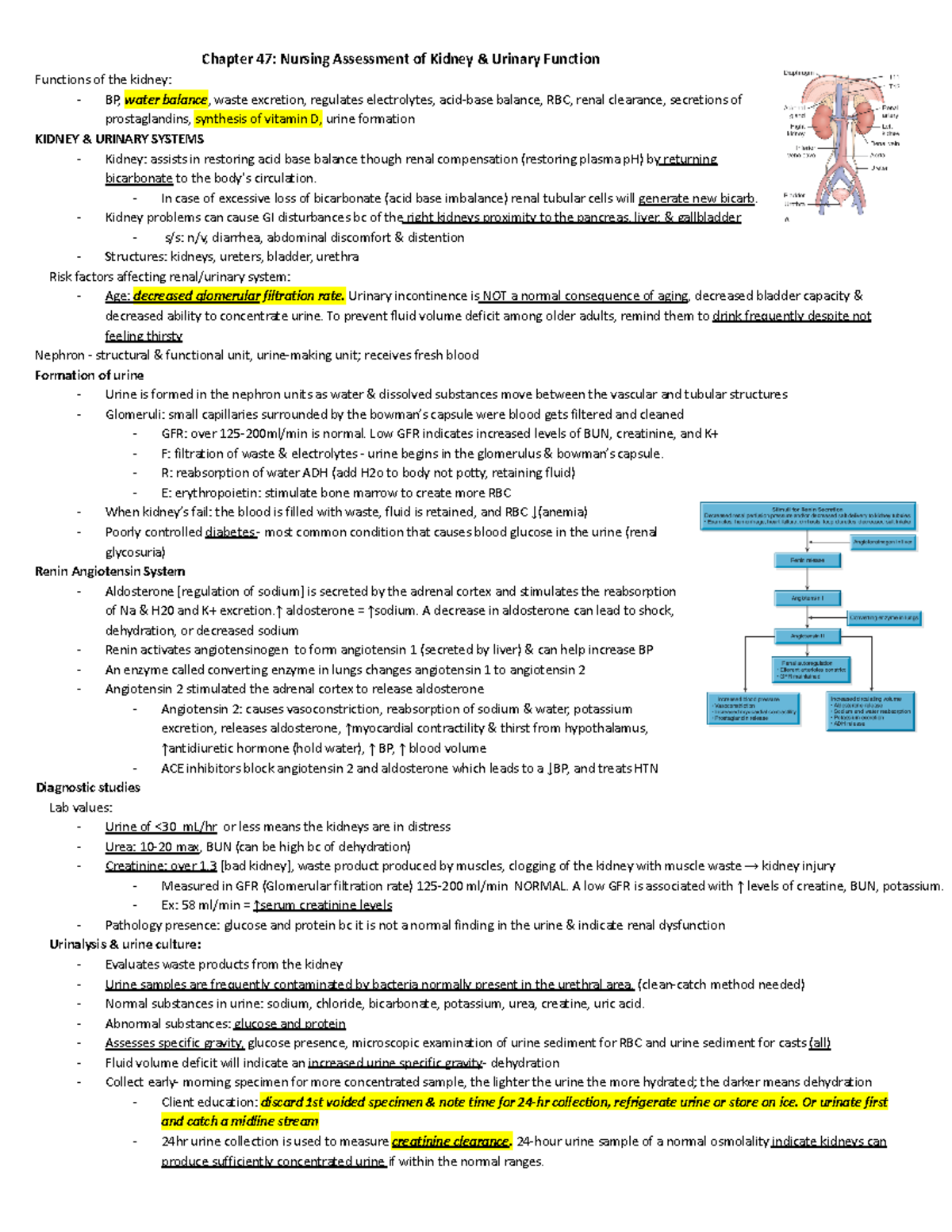 Medsurg unit 2 notes - Chapter 47: Nursing Assessment of Kidney ...