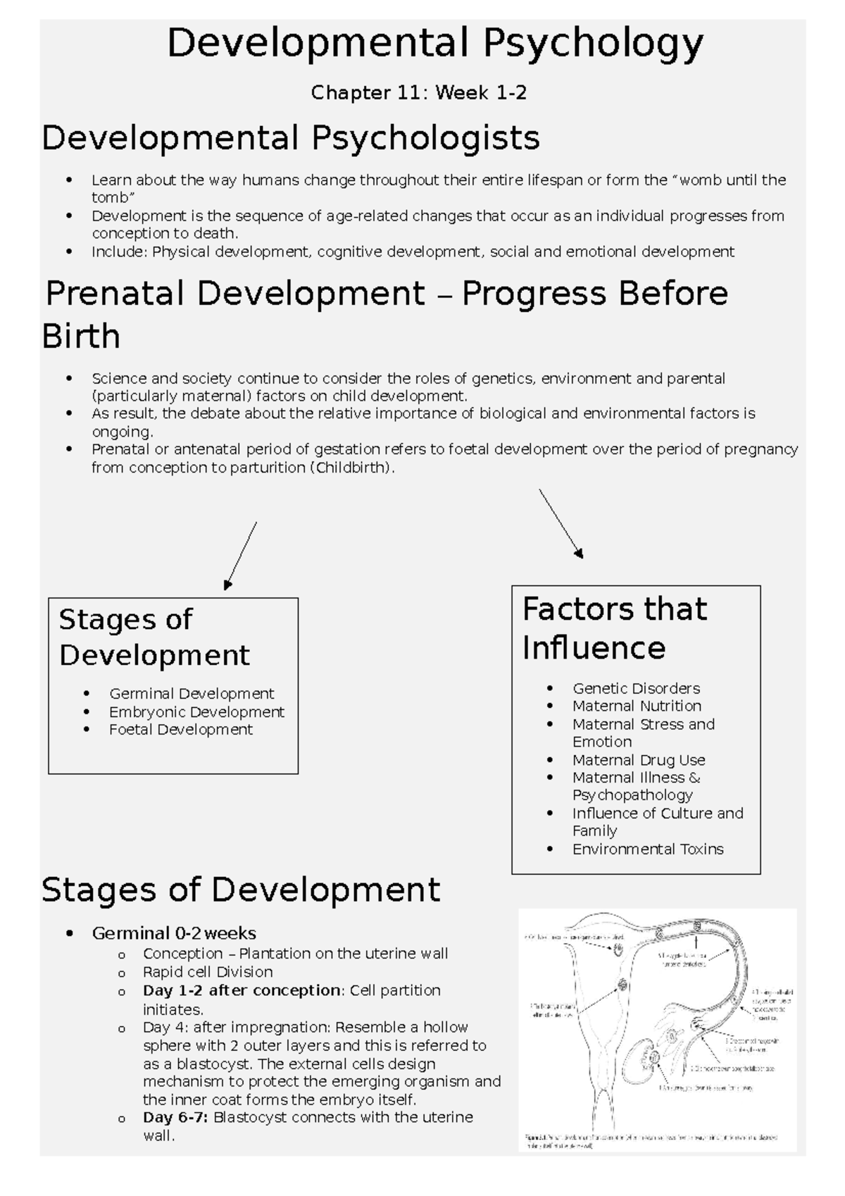 Psychology Notes - 2nd Semester Term 3 - Developmental Psychology ...