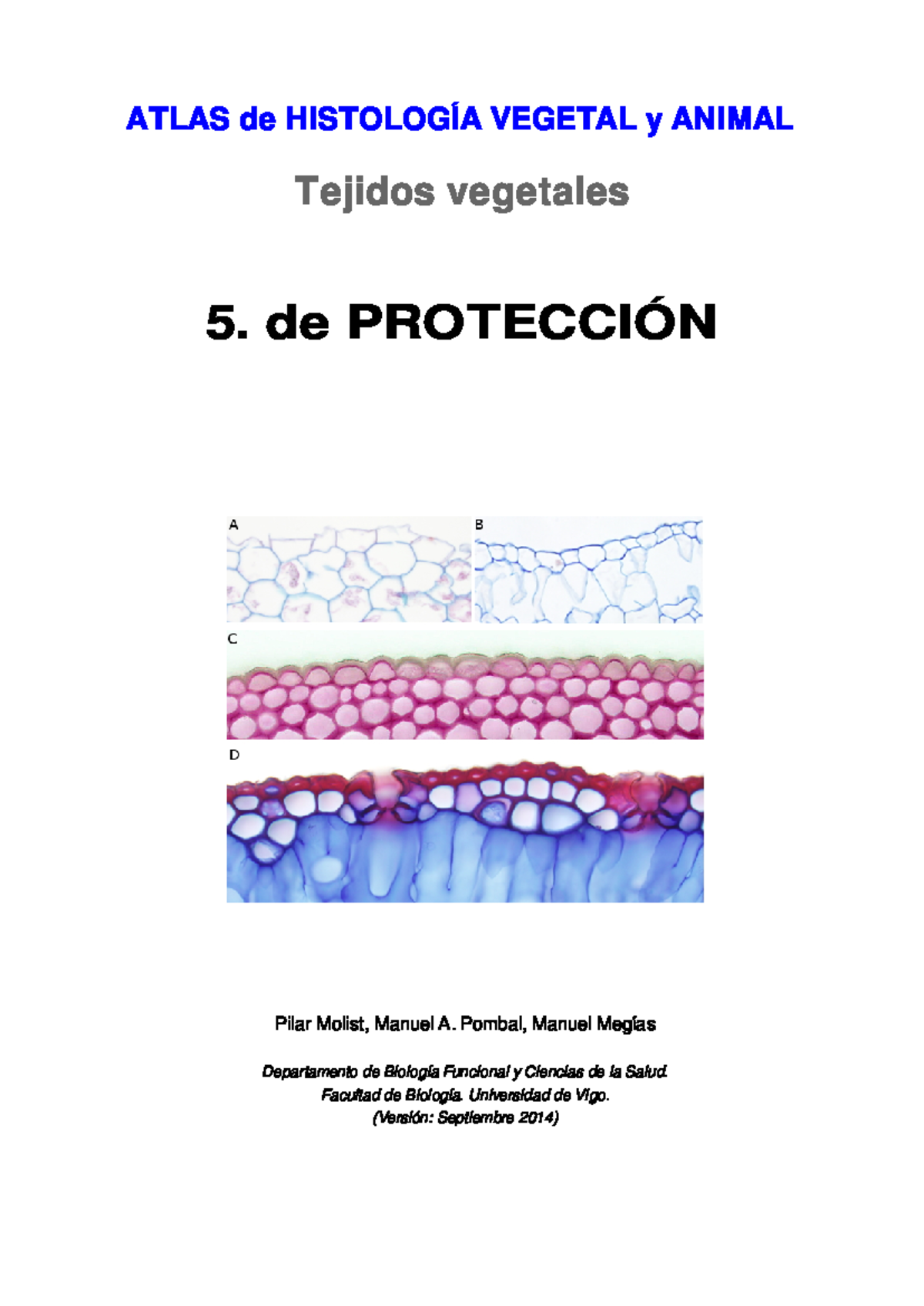 Atlas - Tejidos de proteccion - ATLAS de HISTOLOGÍA VEGETAL y ANIMAL Tejidos vegetales 5. de ...
