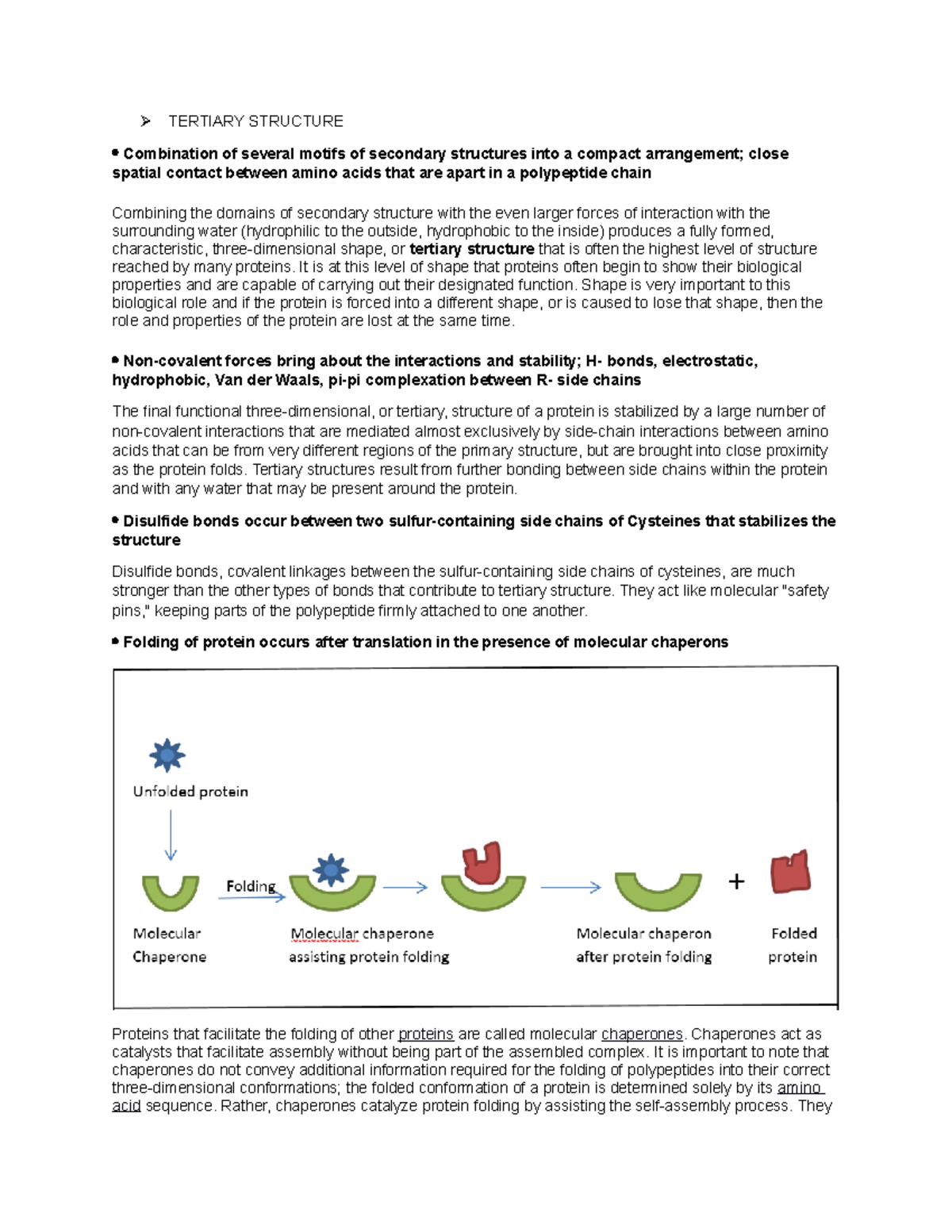 Tertiary Structure - Lecture Notes only - TERTIARY STRUCTURE ...