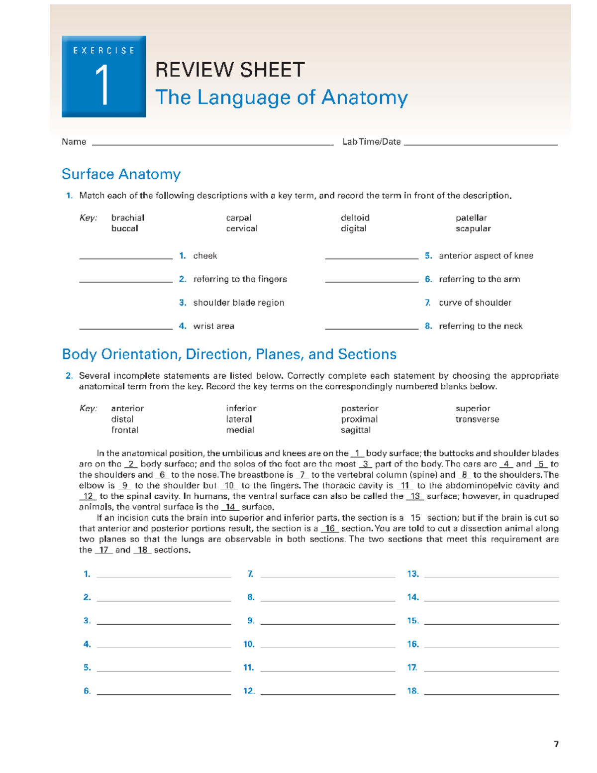 Inbound 8995122644351106305anaphy - EXERCISE 1 REVIEW SHEET The ...