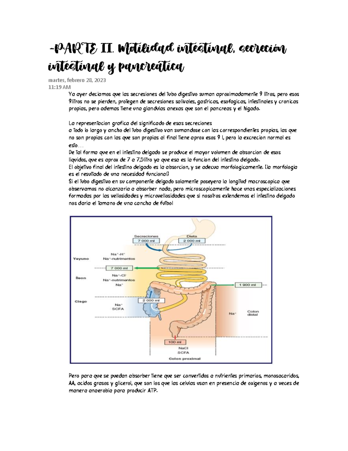 - Parte II. Motilidad intestinal, secreción intestinal y pancreática ...
