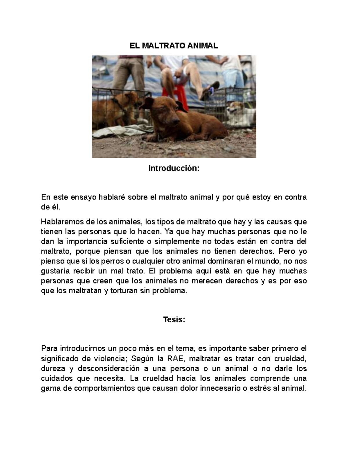 EL Maltrato Animal - EL MALTRATO ANIMAL Introducción: En este ensayo ...