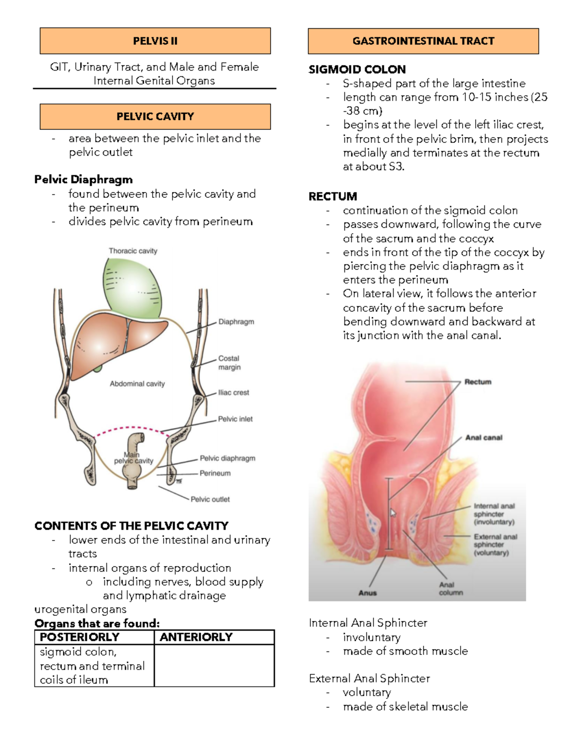 Pelvis II - Lecture notes 1-2 - GIT, Urinary Tract, and Male and Female ...