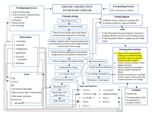 Care Plan Sample Stroke CVA 2023 LDoier - Updated: 12/2020(lg); 05/2021 ...