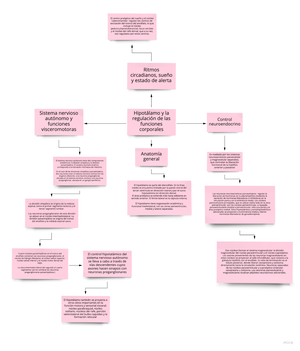Practica 11 djjdd - resumenes del video our Extraordinary Life ...