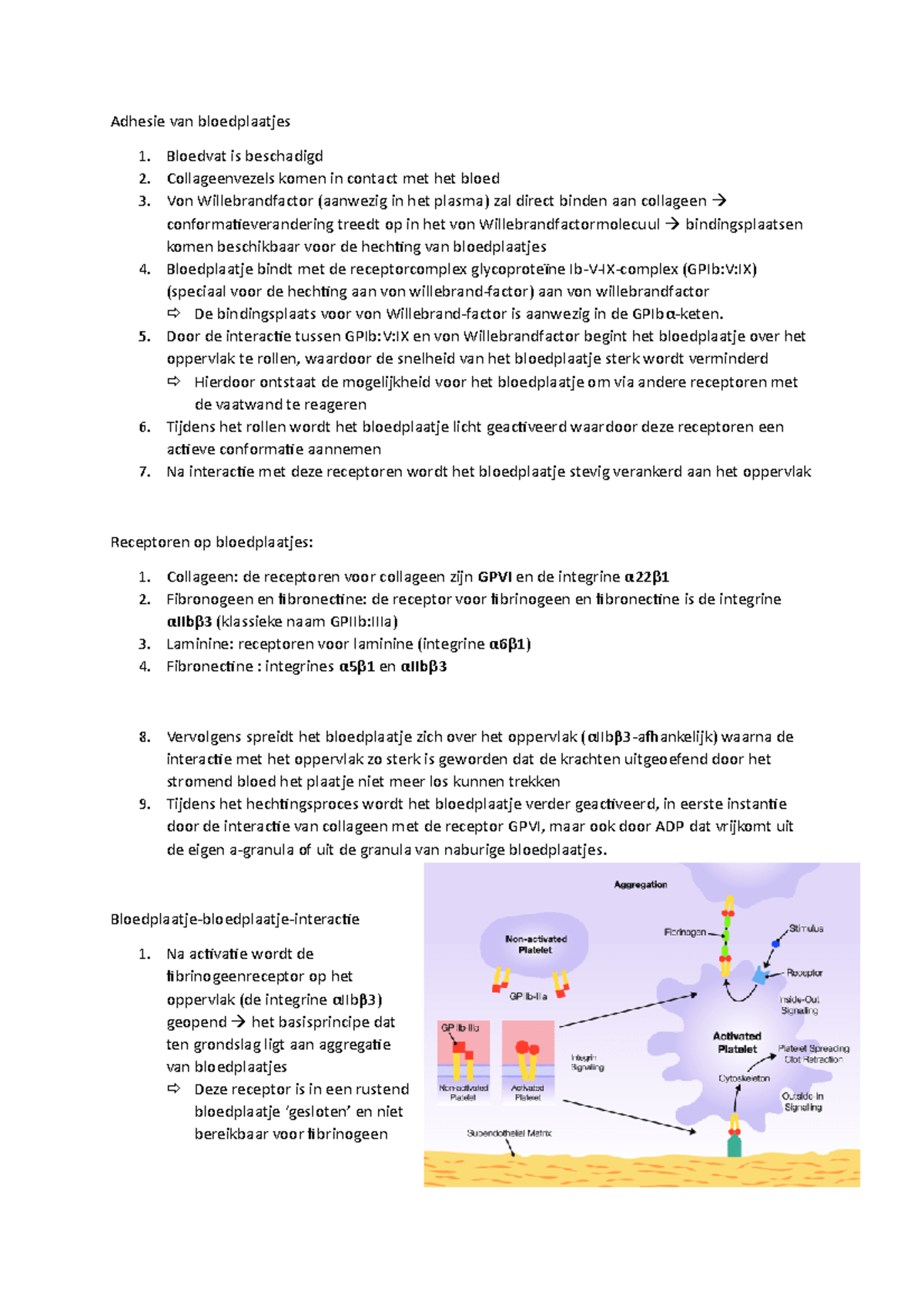 Adhesie van bloedplaatjes - Adhesie van bloedplaatjes Bloedvat is ...