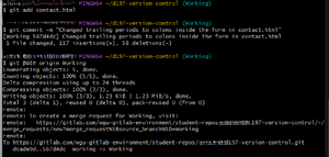 D197 - Version Control Submission - D197 - Version Control Template Delete all template ...