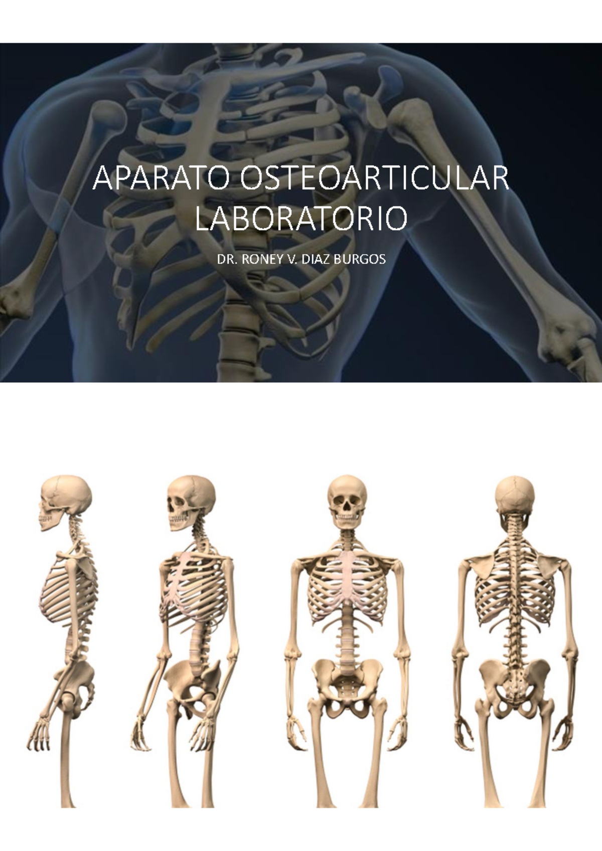 2 Aparato Osteoarticular - Fisiología Celular - APARATO OSTEOARTICULAR ...