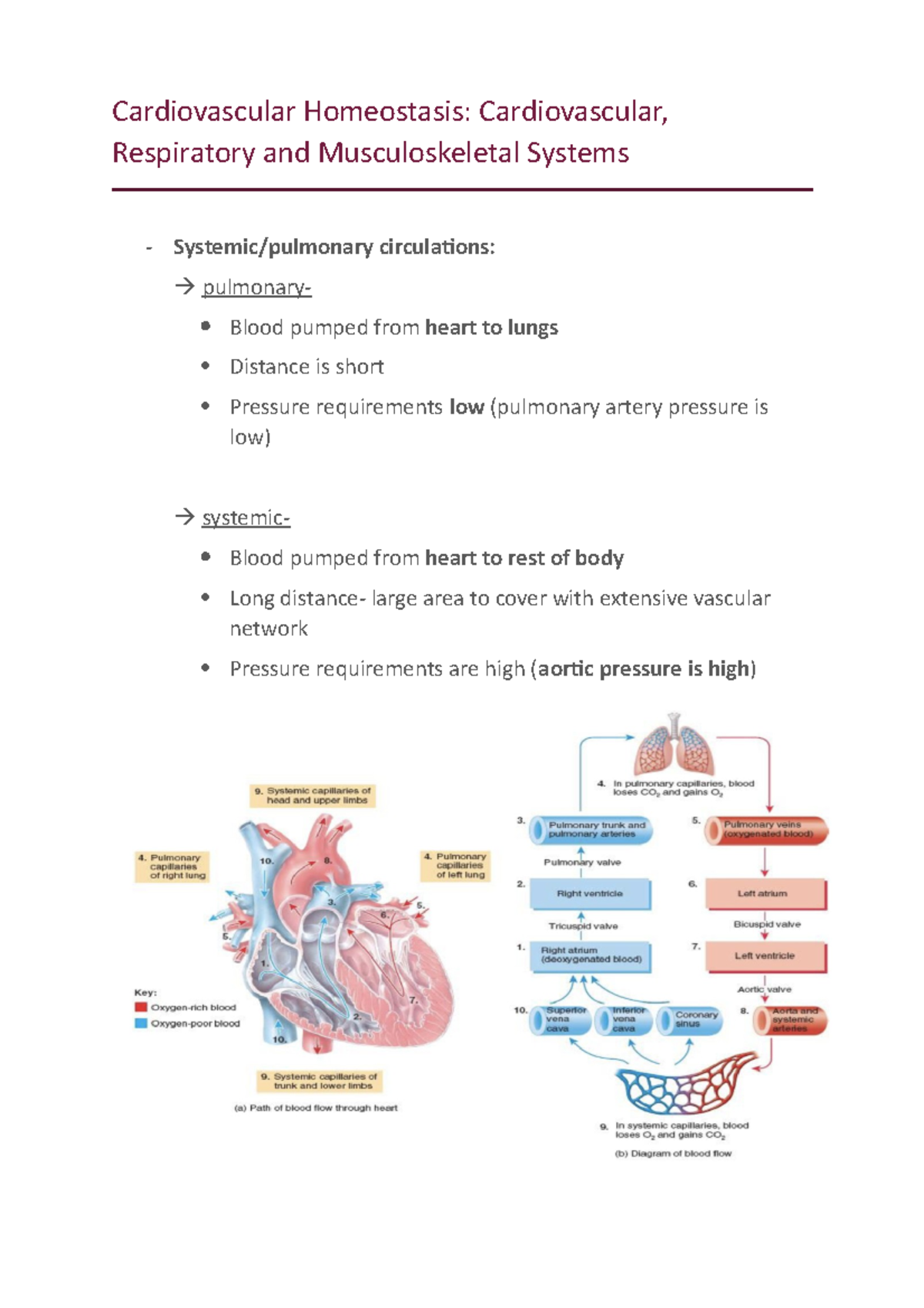 Cardiovascular Homeostasis CRMS - Cardiovascular Homeostasis ...