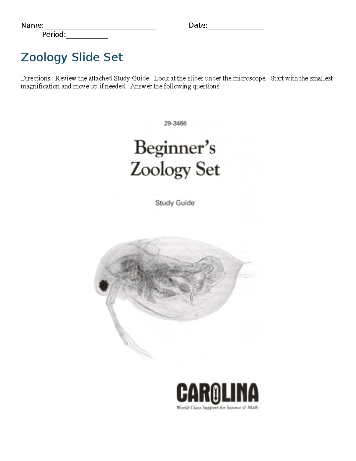 Zoology Slides Worksheet - Name:________________________________ Date ...