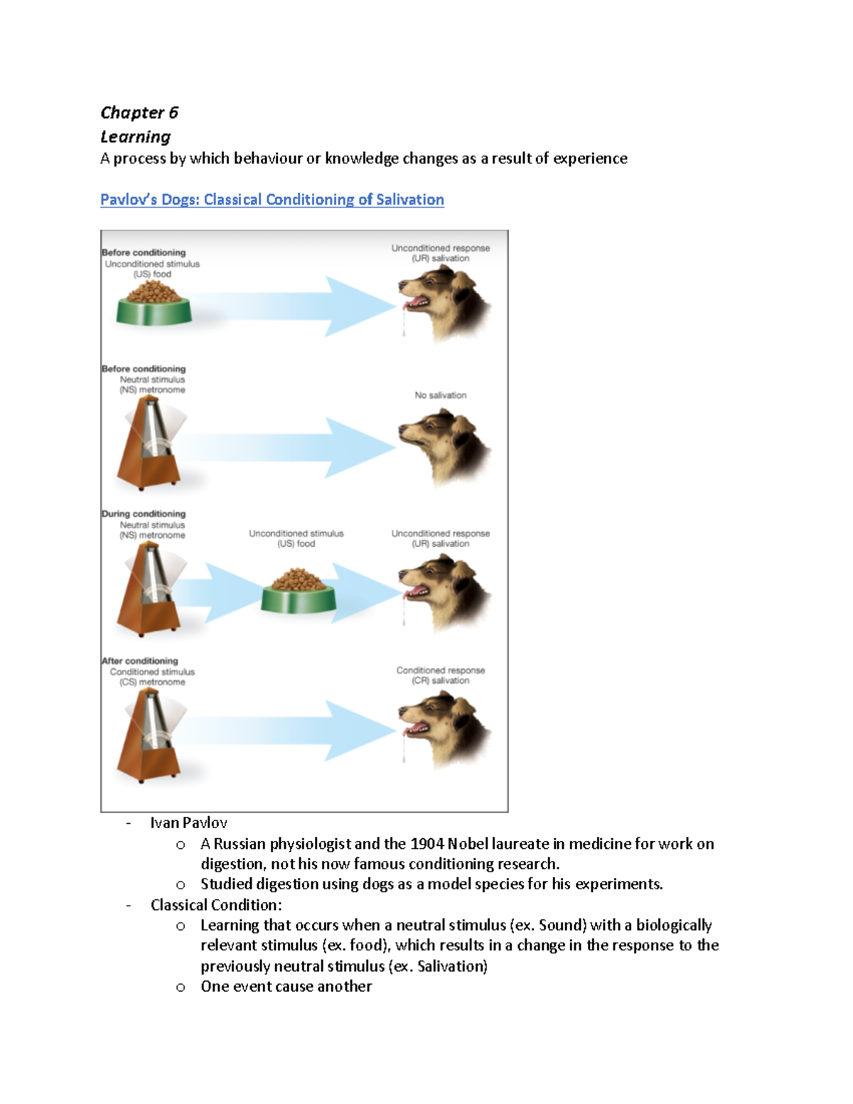 PSYC1200 Chapter 6 Learning - Chapter 6 Learning A process by which ...