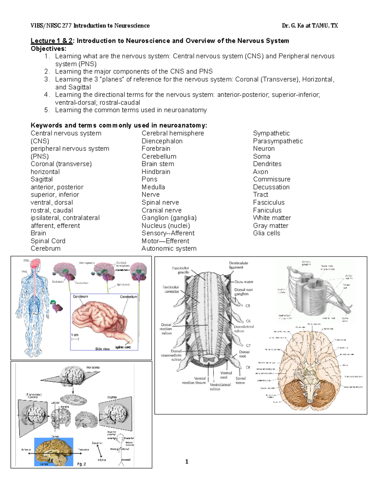 Lecture 1 & 2 Outline - Notes - VIBS/NRSC 277 Introduction to ...