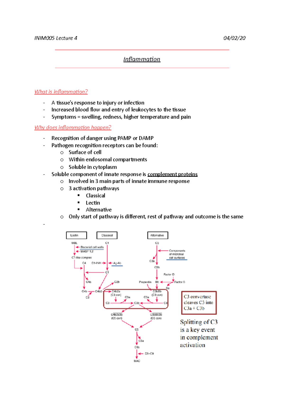 Lecture 4 - Inflammation - INIM005 Lecture 4 04/02/ Inflammation What ...