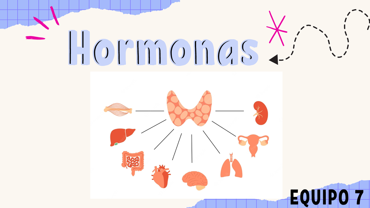 Clasificación de Hormonas - Hormonas EQUIPO 7 Hormonas Hormonas ¿Qué ...