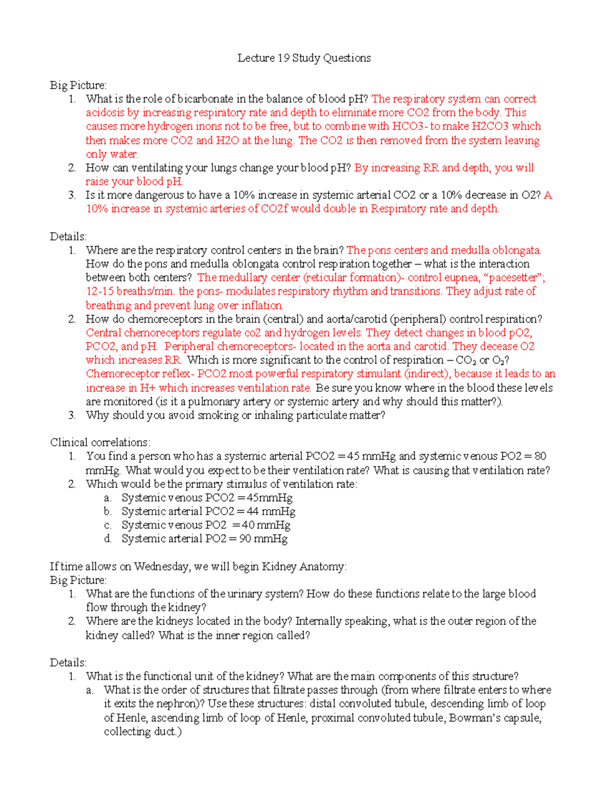 Lecture 19 Study Questions-1 - Lecture 19 Study Questions Big Picture ...