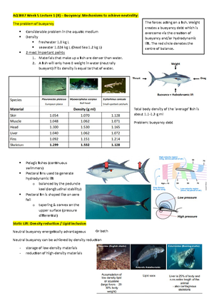 Session 3 ME2512 2021 Tutorial QA - Thermofluid Mechanics Fluid ...