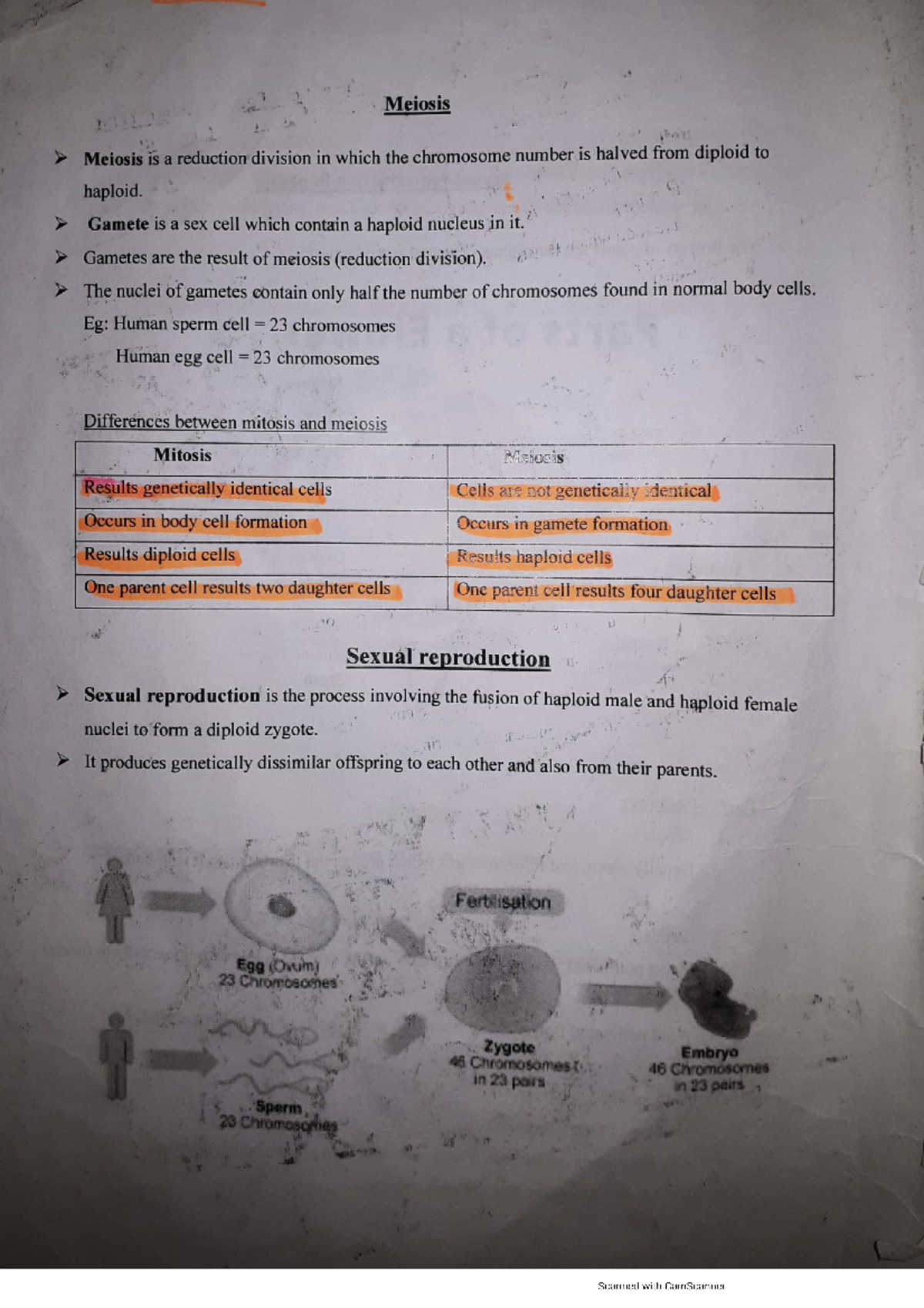 Sexual reproduction and Meiosis of the human and plants and the ...