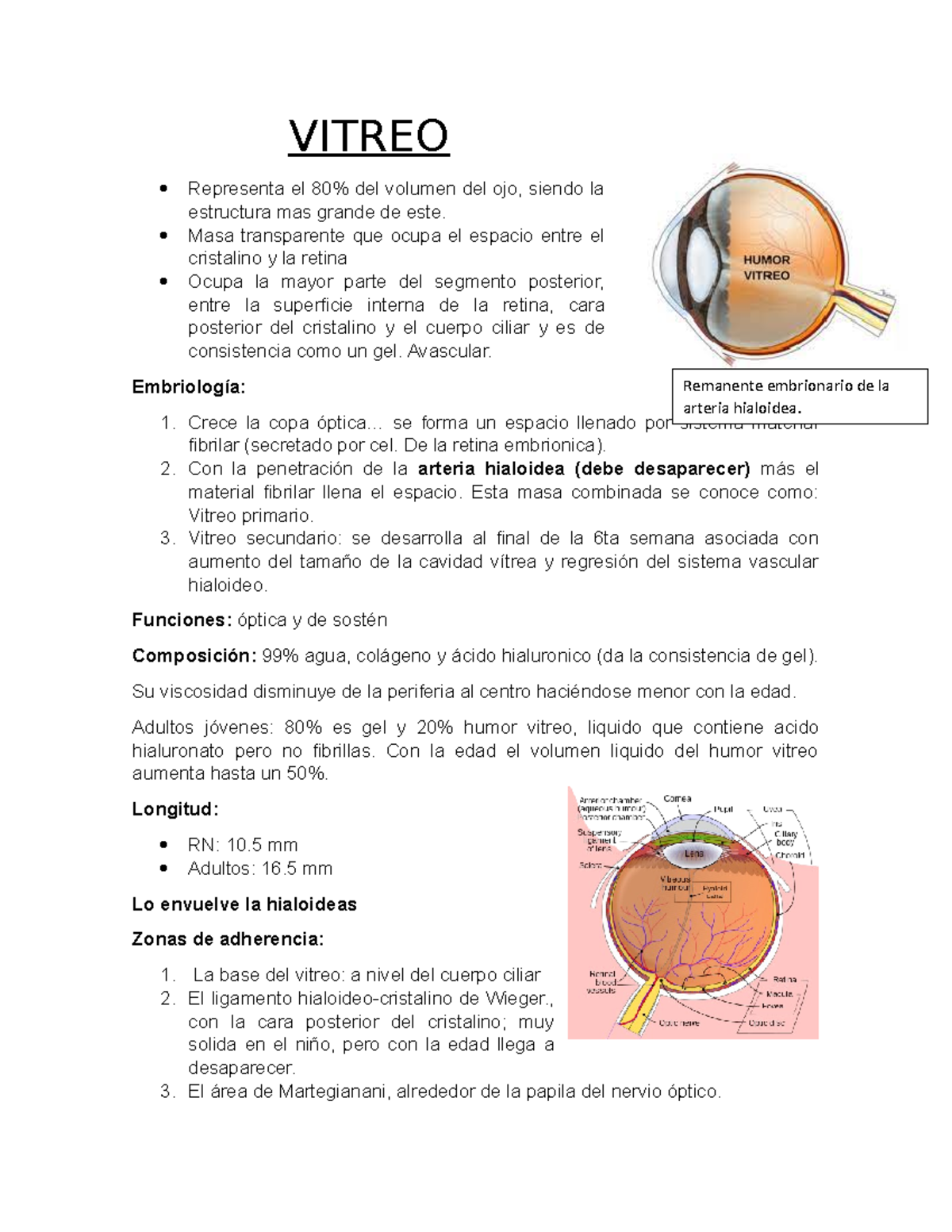 Vitreo - MMMMMMM - VITREO Representa el 80% del volumen del ojo, siendo ...