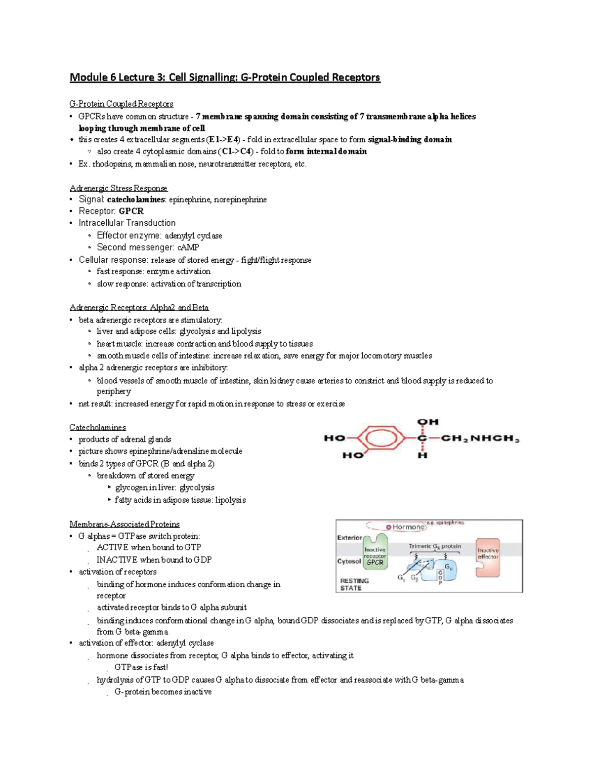 Module 6 Lecture 3 - Module 6 Lecture 3: Cell Signalling: G-Protein Coupled Receptors G-Protein ...