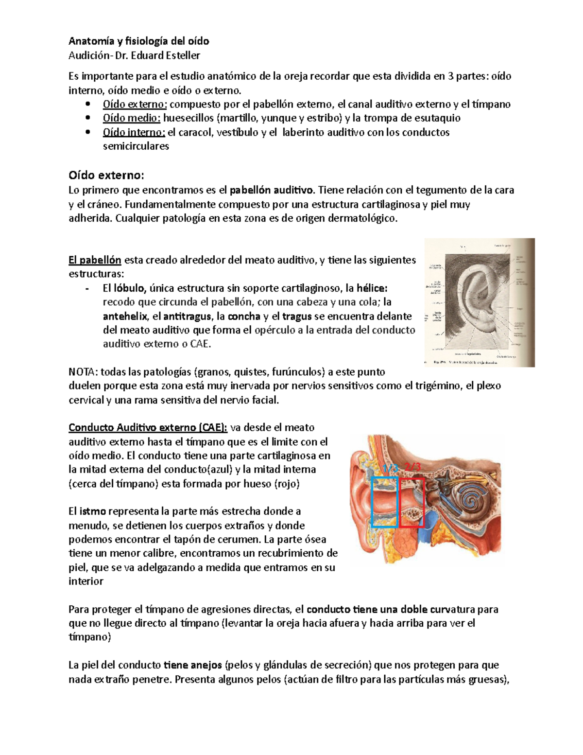 Anatomia de la oreja - Apuntes 1 - Anatomía y fisiología del oído ...