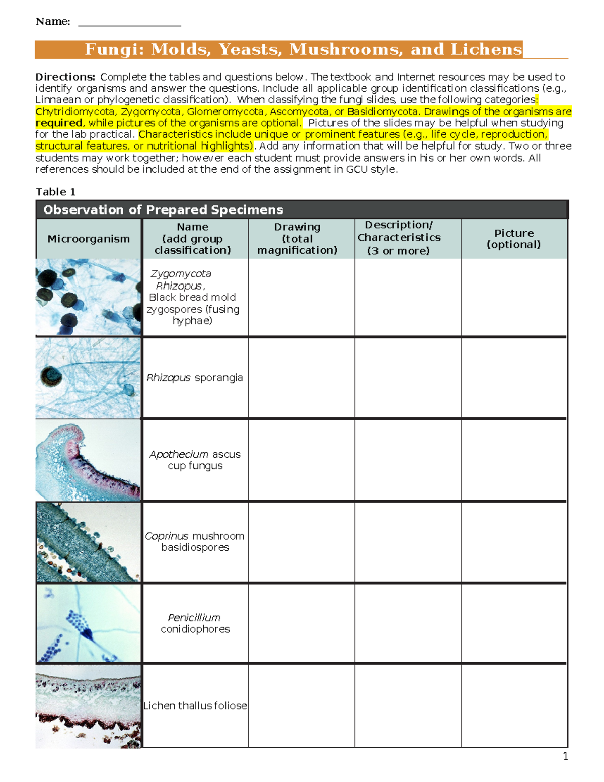 Bio182-03.01-worksheet Fungi - Fungi: Molds, Yeasts, Mushrooms, and ...